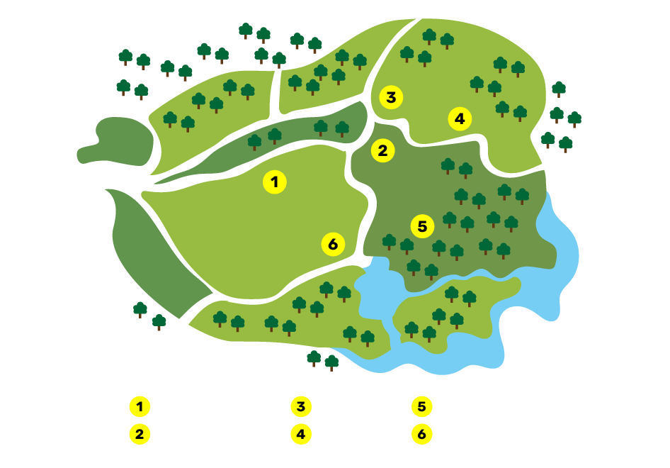 All activities | Activities for everyone young and old | Go Outside